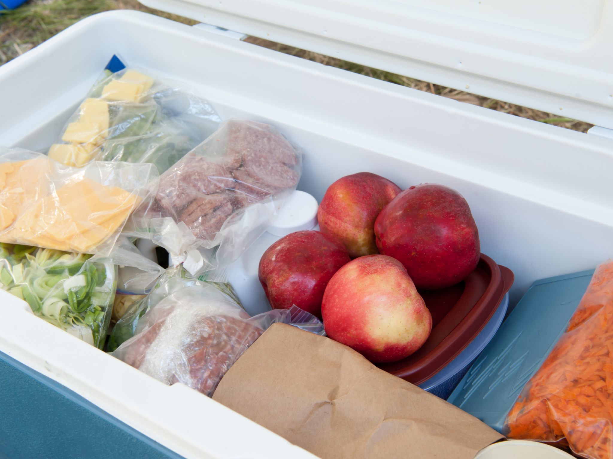 A Cool Guide to Camper Van Fridges - ExploreVanX