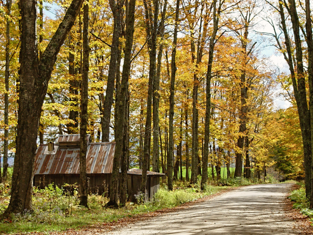 The Best Camping in Vermont with a Campervan - ExploreVanX