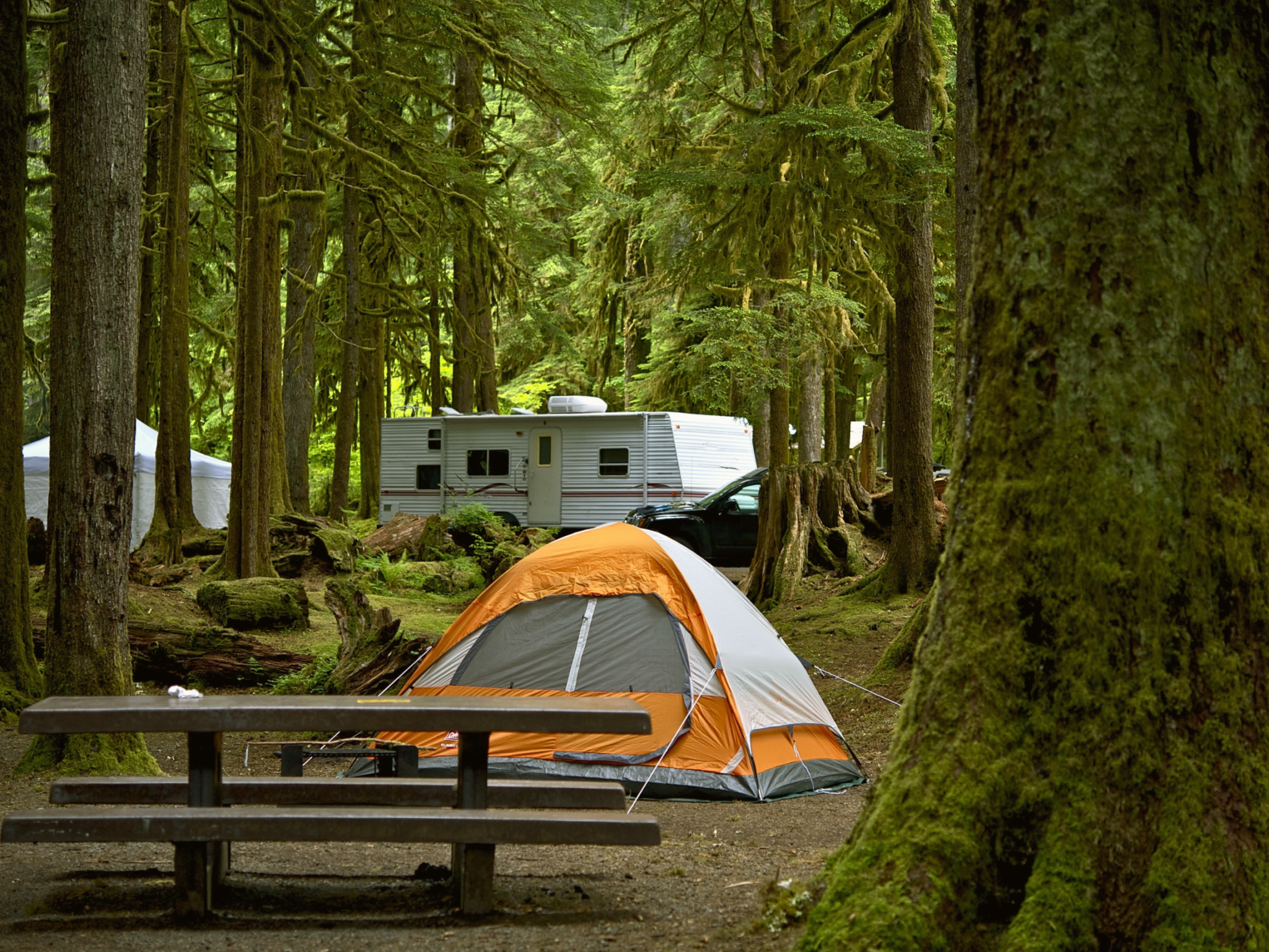 The Best Camping in Vermont with a Campervan - ExploreVanX