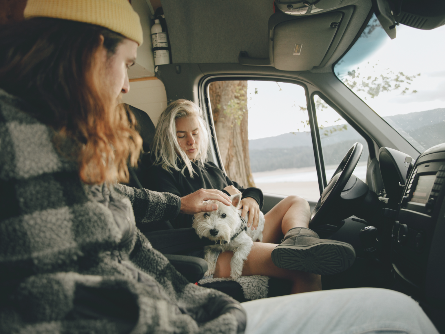 Pro Tips for Living Van Life with Dogs - ExploreVanX