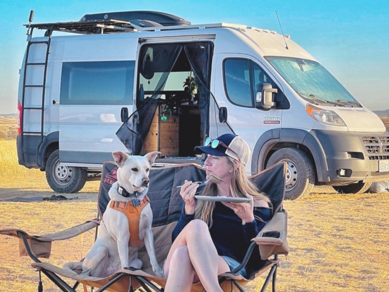 Pro Tips for Living Van Life with Dogs - ExploreVanX