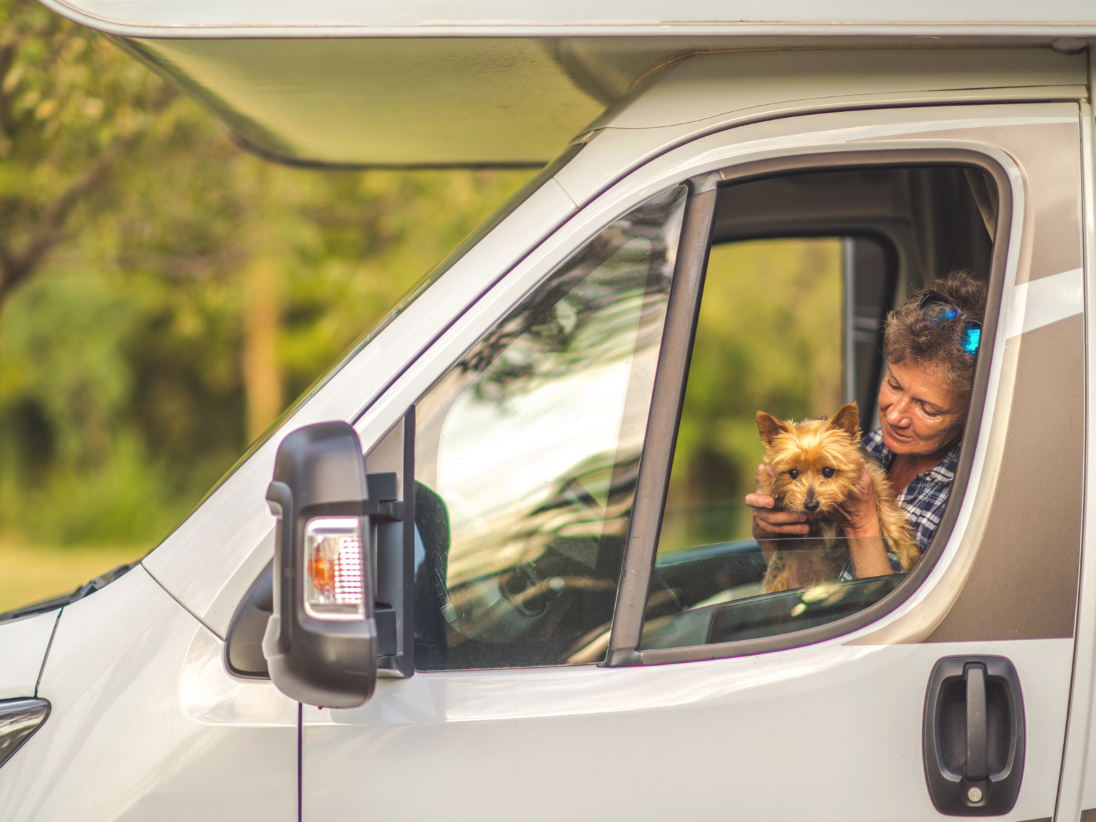 Pro Tips for Living Van Life with Dogs - ExploreVanX